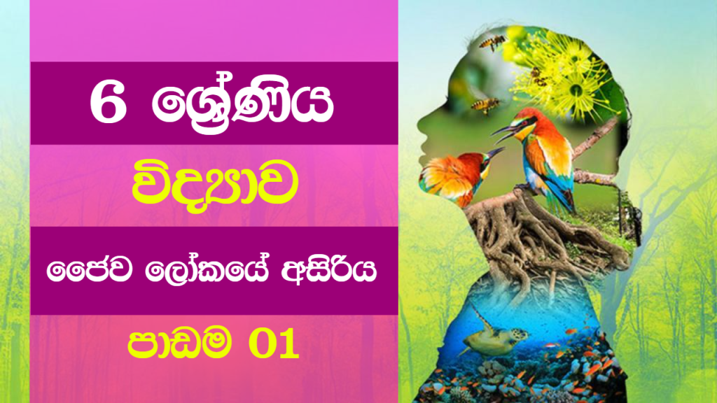 6 ශ්‍රේණිය - Edira Tutor
