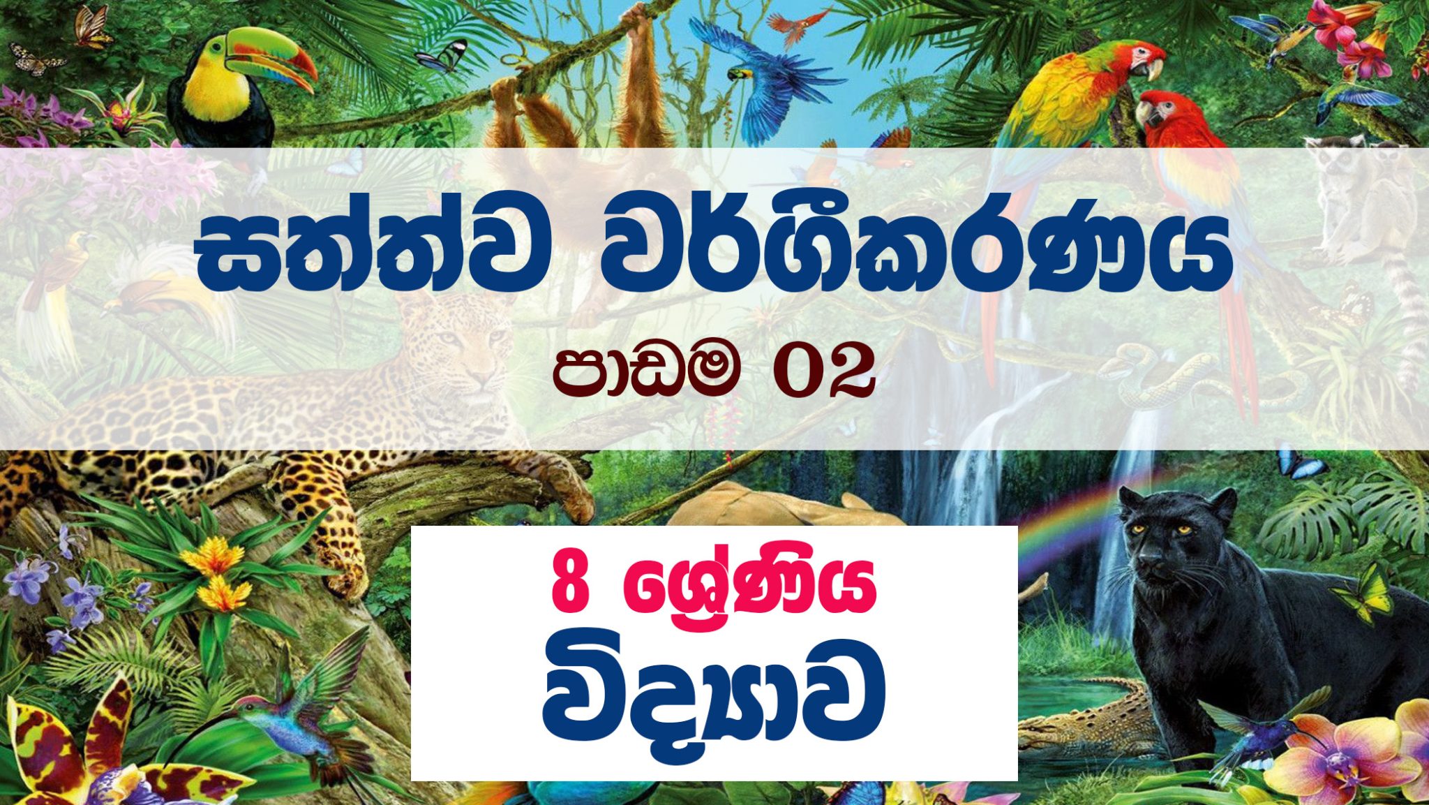 8 ශ්‍රේණිය - Edira Tutor
