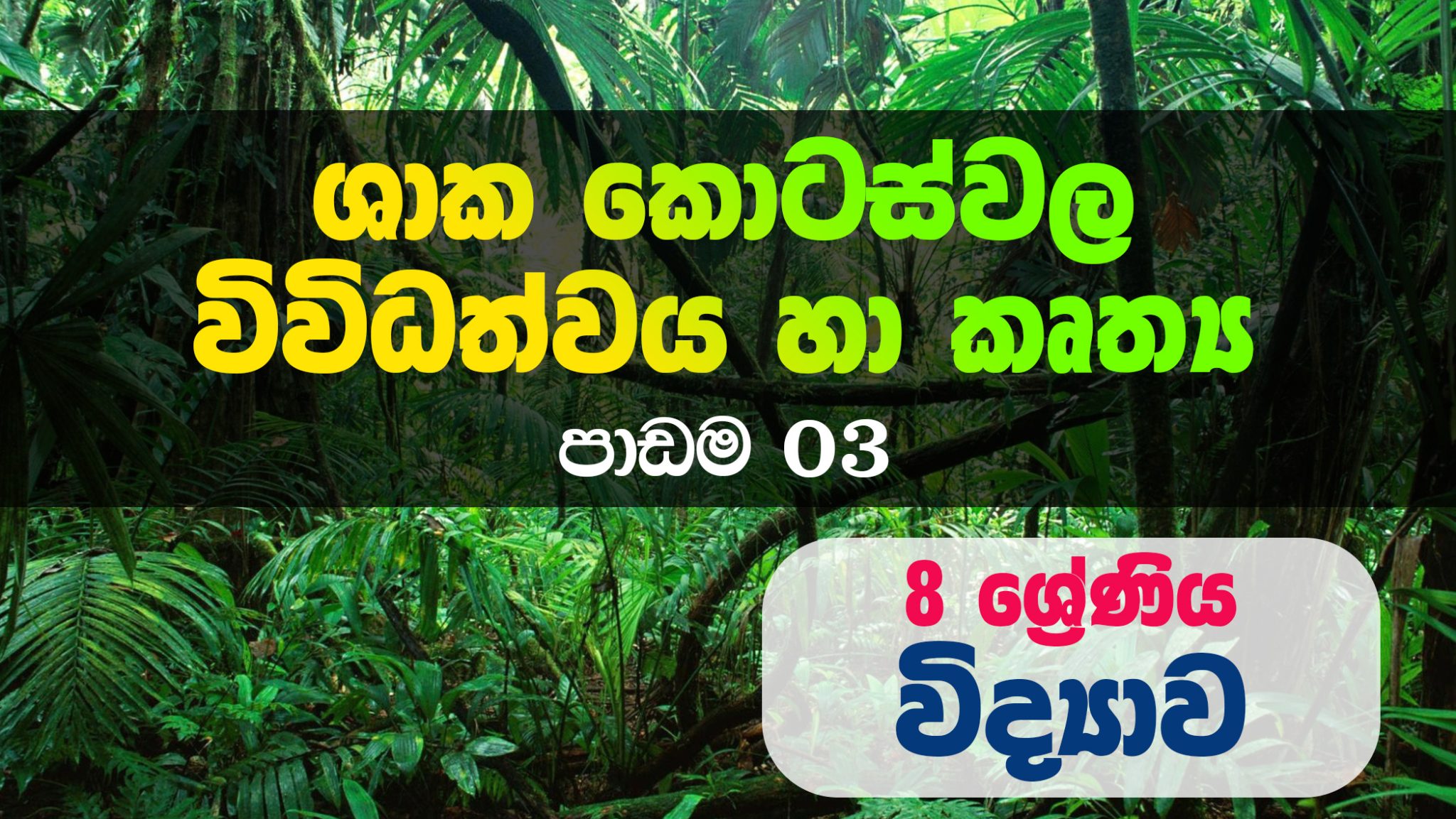 8 ශ්‍රේණිය - Edira Tutor