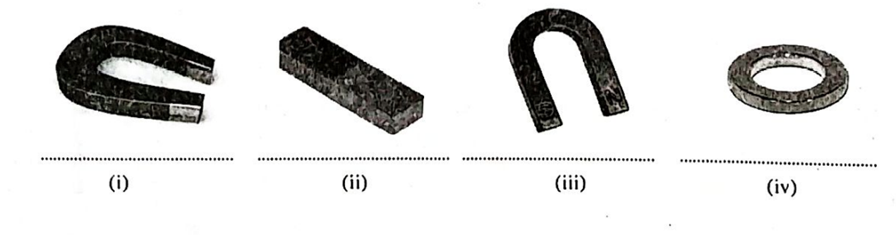 06 ශ්‍රේණිය විද්‍යාව (දෙවන වාරය) - ප්‍රශ්න පත්‍ර 01 - Edira Tutor