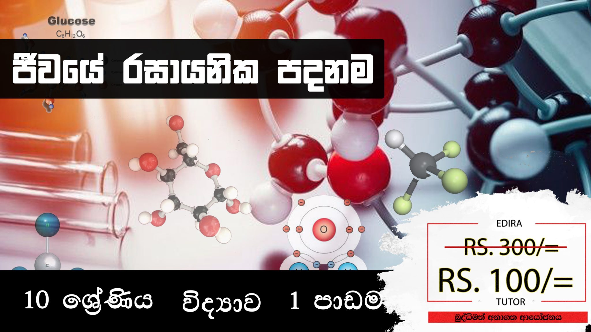 10 ශ්‍රේණිය - Edira Tutor