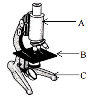 07 ශ්‍රේණිය විද්‍යාව (තුන්වන වාරය) – ප්‍රශ්න පත්‍ර 02 - Edira Tutor