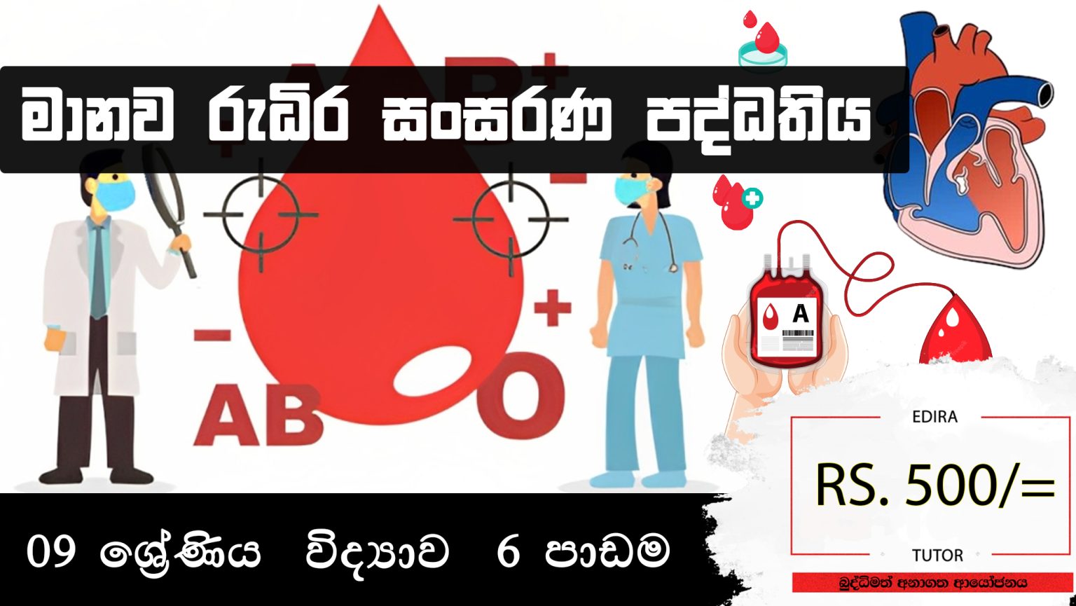 9 ශ්‍රේණිය විද්‍යාව – පාඩම 06 - Edira Tutor