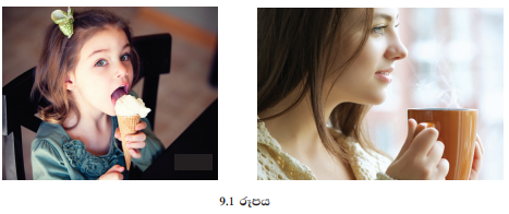 උෂ්ණත්වය - Edira Tutor